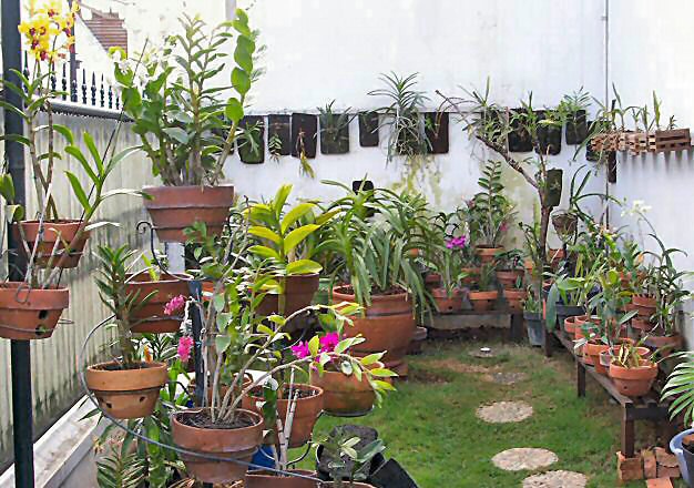 Memilih Jenis Pot untuk Tanaman