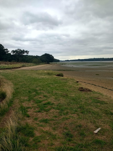 Perambulatory Ramblings: Ipswich Town Map: (Beyond) 1979