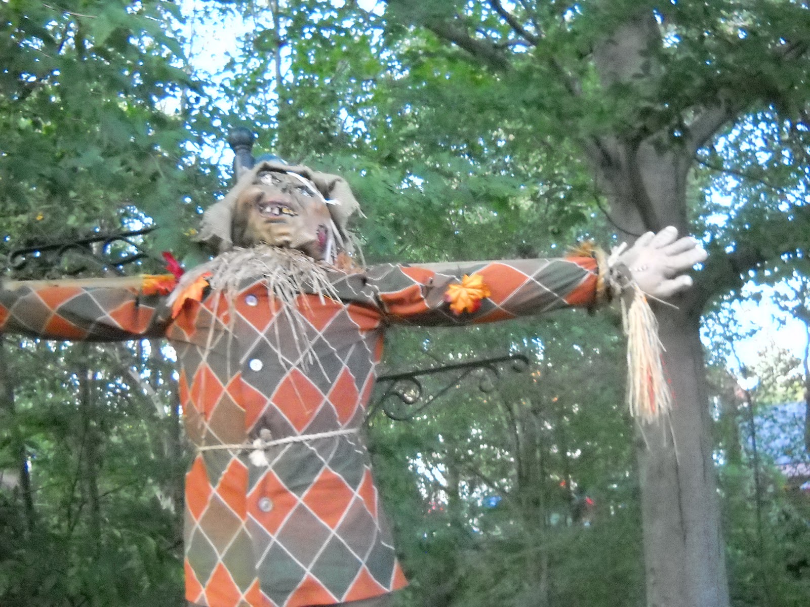 CELTIC PUMPKIN: Howl O Scream 2011 (p1)