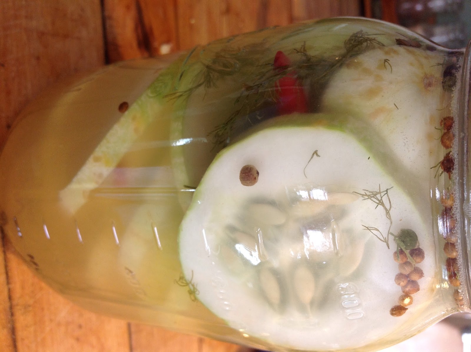 Blue Again, Like Morning: Fridge Pickles: hurry up and wait.