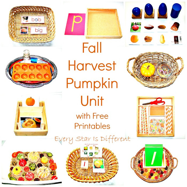 Fall Harvest Pumpkin Unit with Free Printables - Every Star Is Different