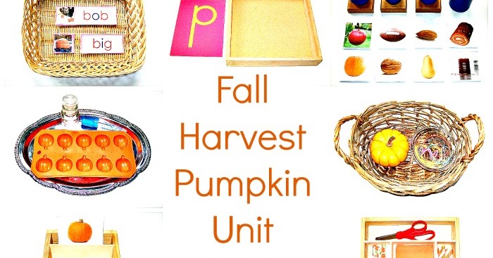 Fall Harvest Pumpkin Unit with Free Printables - Every Star Is Different