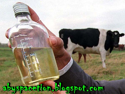 URINE SAPI FERMENTASI UNTUK PUPUK dan PESTISIDA ORGANIK - Info ...