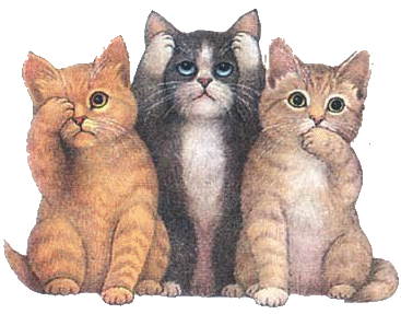 ® Colección de Gifs ®: GIFS DE GATOS ANIMADOS