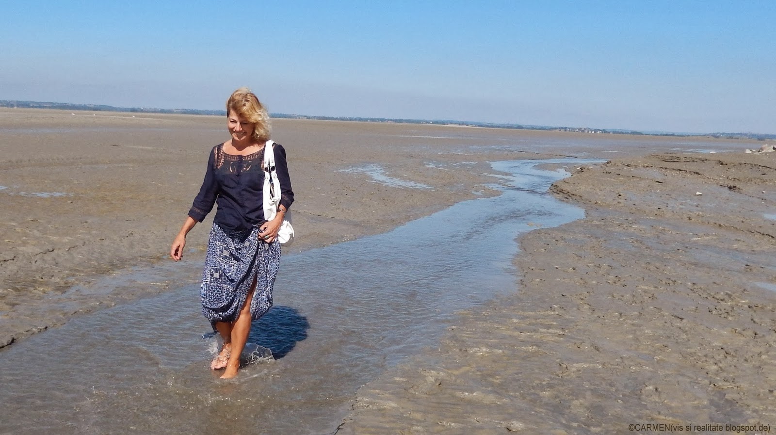 Între vis si realitate 2: Miercurea fara cuvinte (42) - Flux si reflux ...