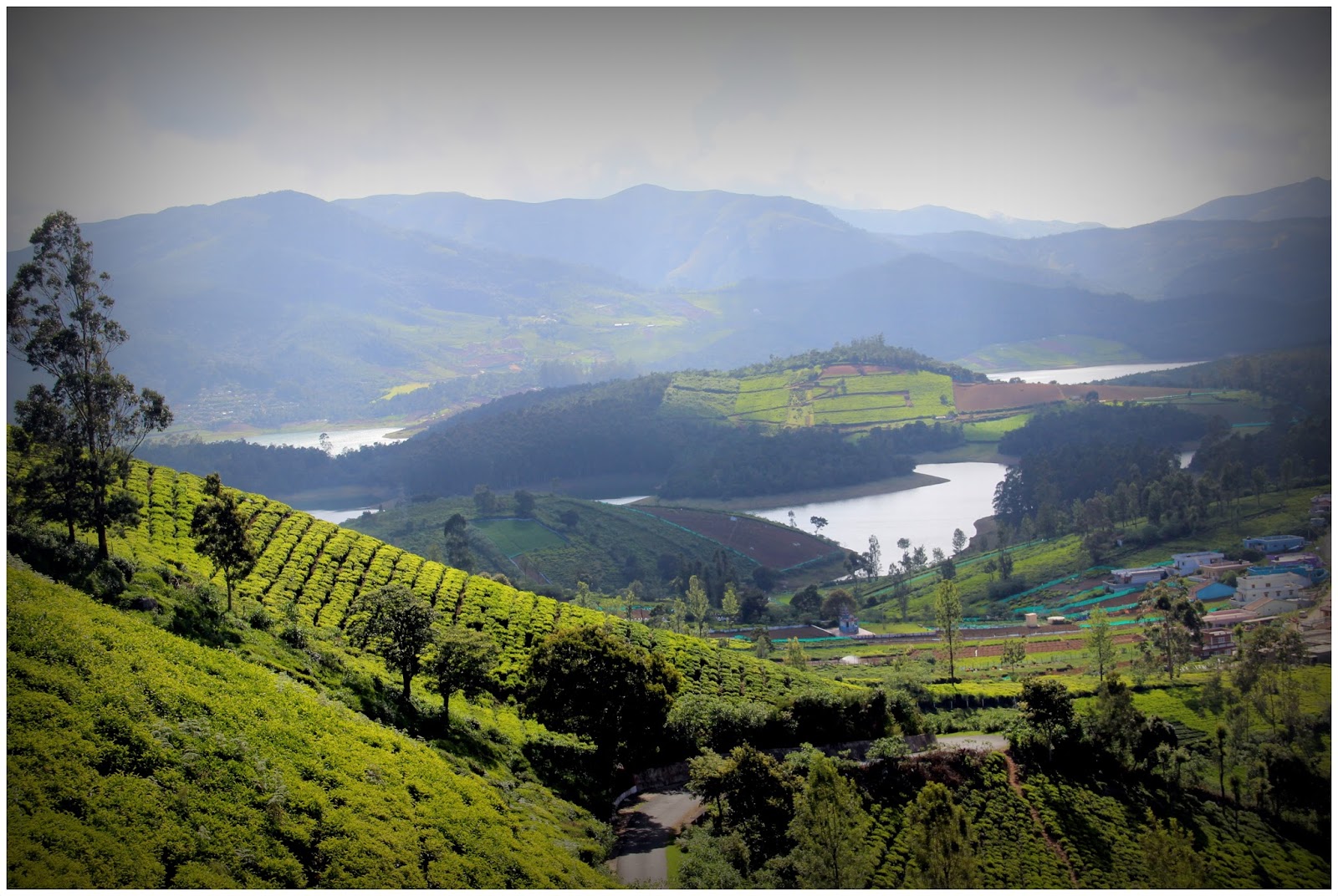 Avalanche Lake - Ooty