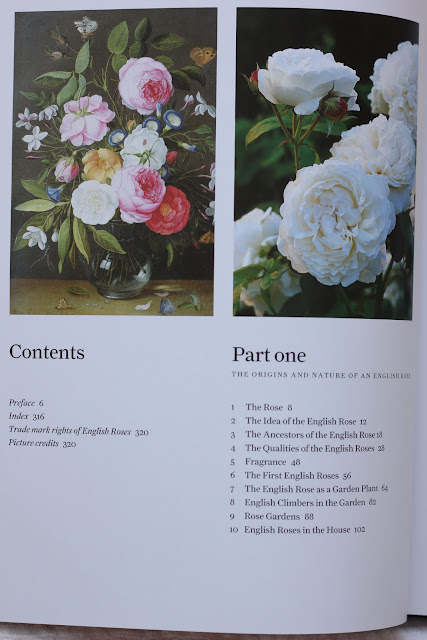 Aiken House & Gardens: David Austin English Roses