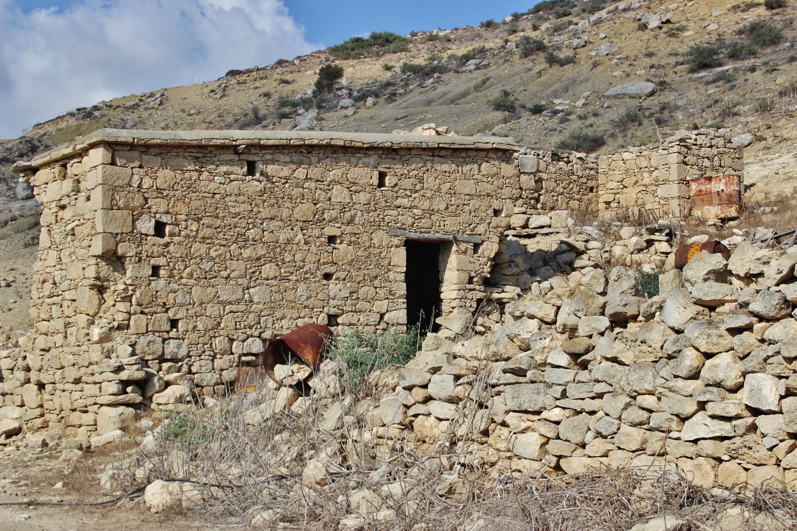 Biodiversity of Cyprus by NGO Protection of the Natural Heritage and ...