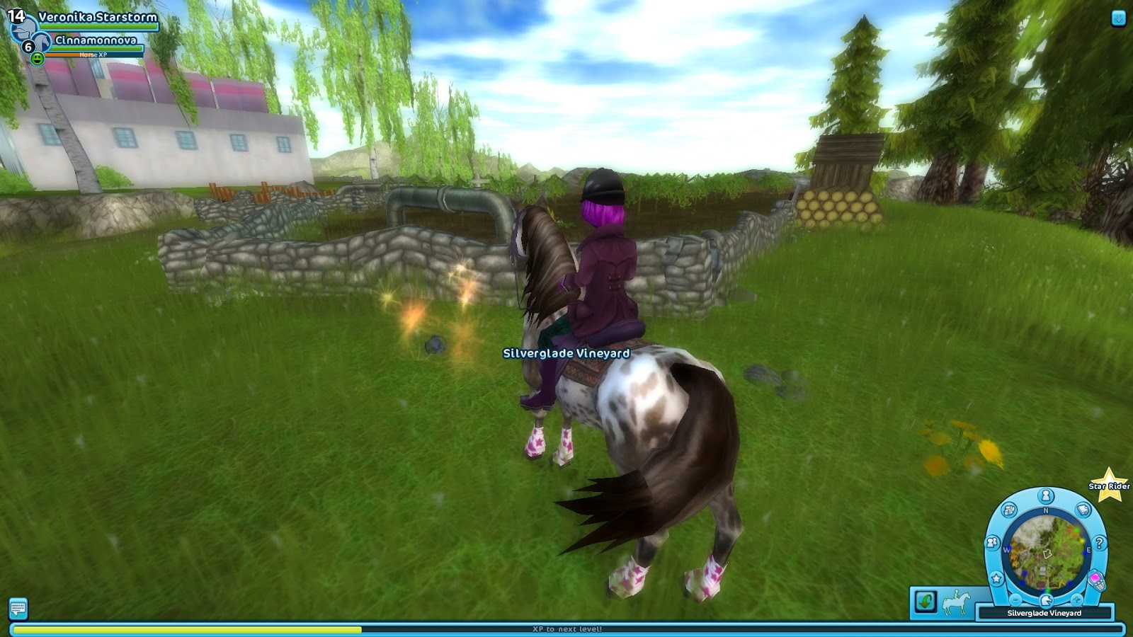 Mario at the Observatory - Stars Over the Field daily quest - Wednesday