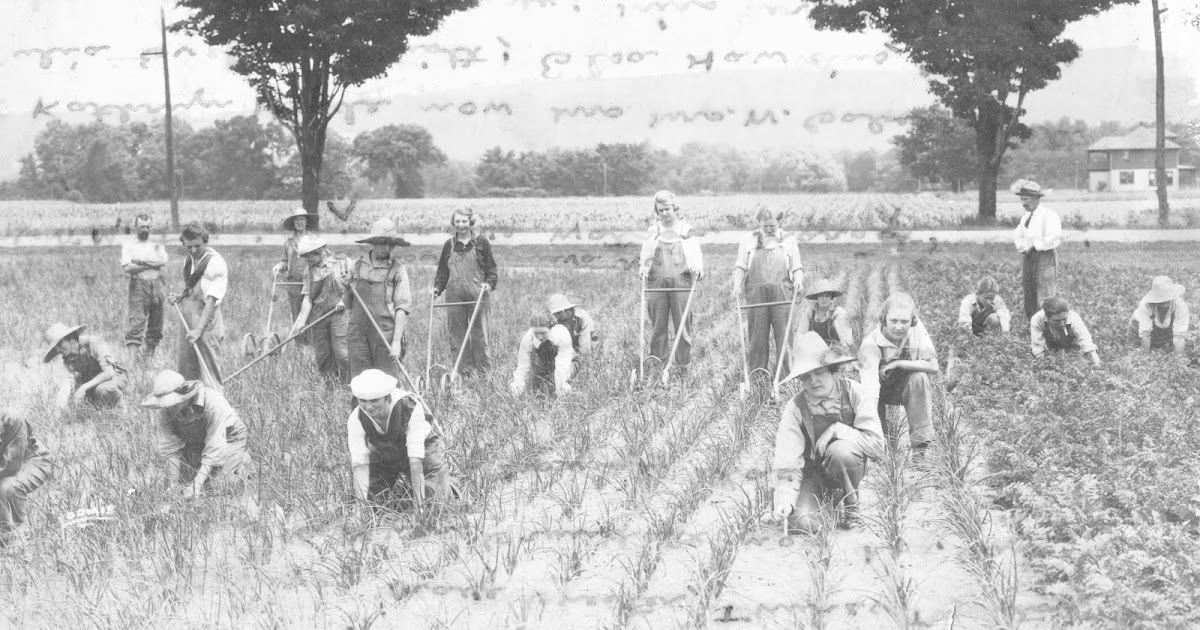 Chemung County Historical Society: Land Girls and Farmerettes