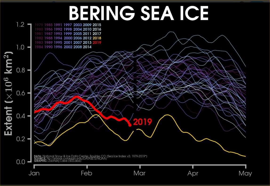 Seemorerocks Huge Loss Of Sea Ice In The Bering Sea