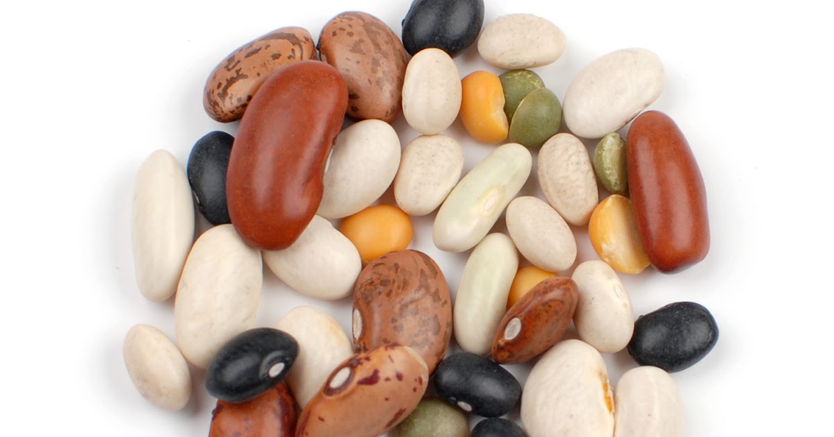 Mengenali Kumpulan Tumbuhan Kekacang (Bean) |MyRokan