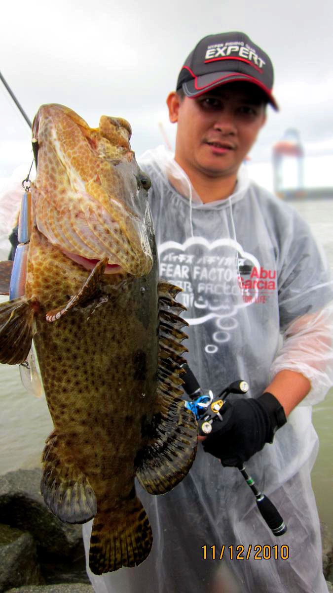 RAJA JORAN: Chromileptes altivelis @ Kerapu -15 Kg- Top 10 Fishing In ...