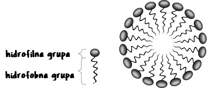 Šta su to micele? - Nauka govori