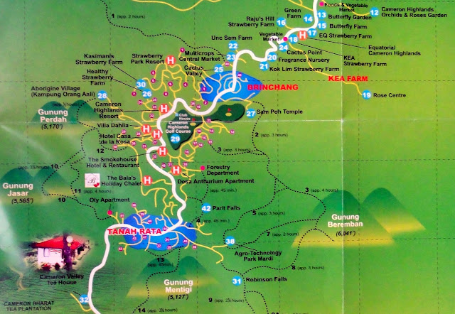 TRAVEL AND LIFESTYLE DIARIES - : An Overview and Map of the Cameron ...