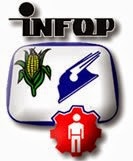 Cursos en línea de Infop 2014 - Matrícula abierta