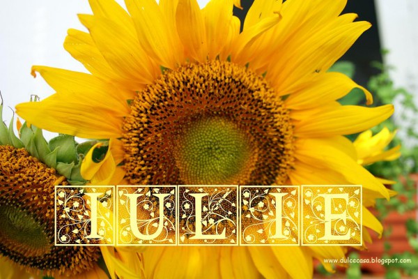 Calendarul zilei: Luna iulie