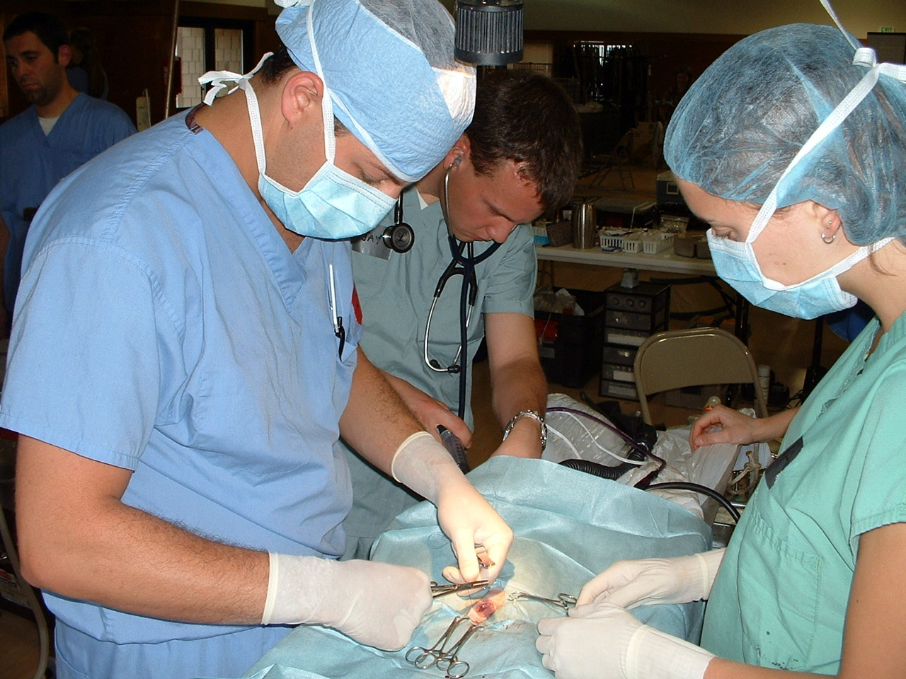 Small Animal Talk: Interview with Dr Caleb Frankel, tech-savvy ER ...