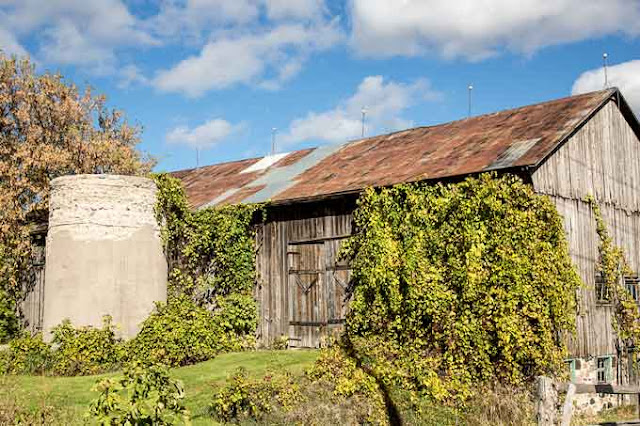 East Gwillimbury CameraGirl: Unpainted Barn