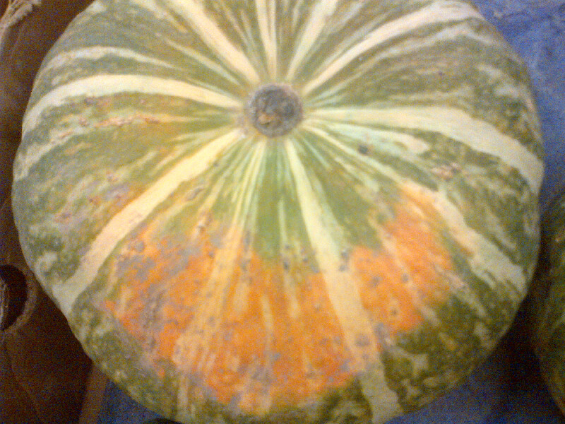 The Produce Savant: Choose the Kabocha