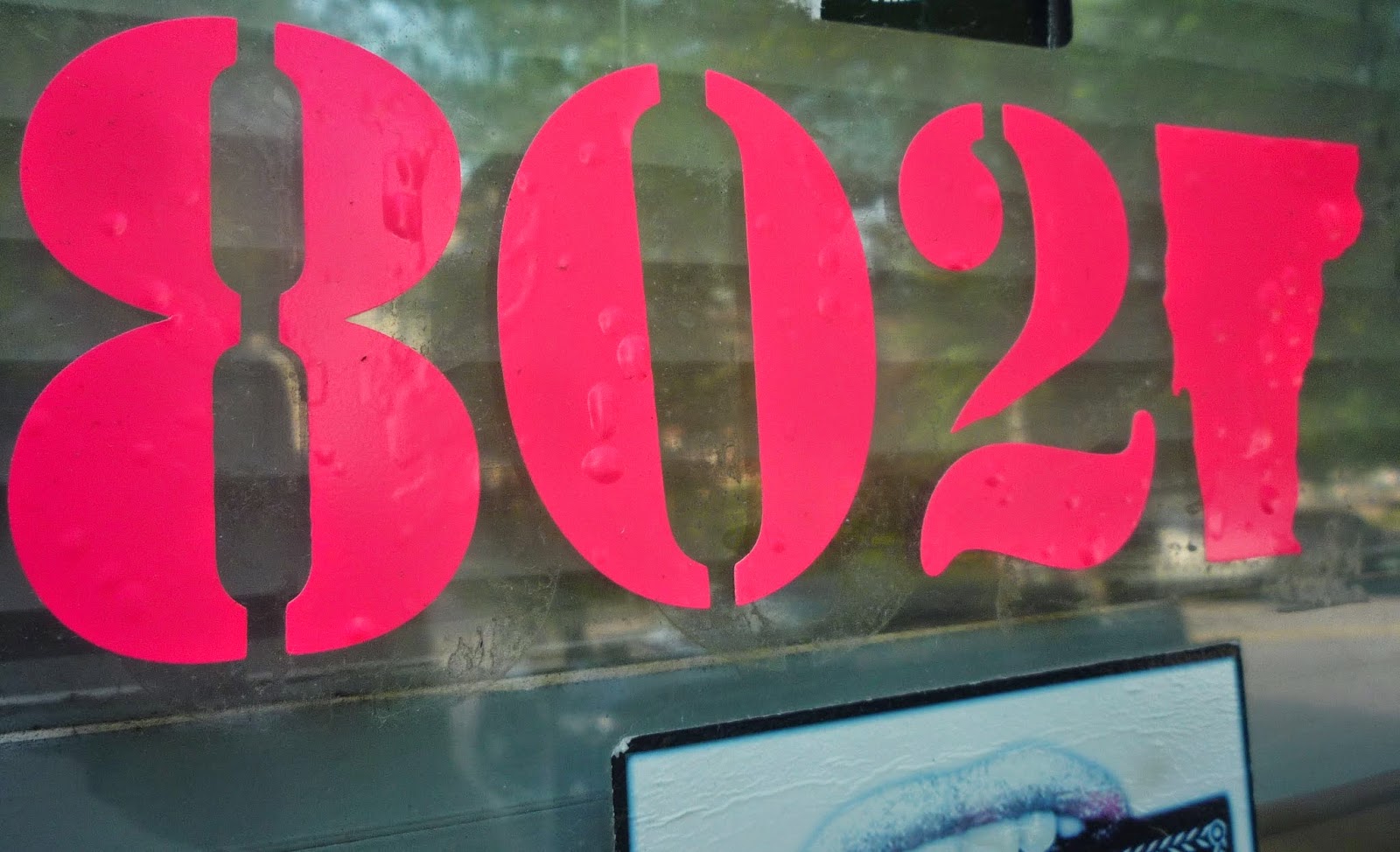 BTV Waterfront bike path - Summer biking | Litter with a Story To Tell