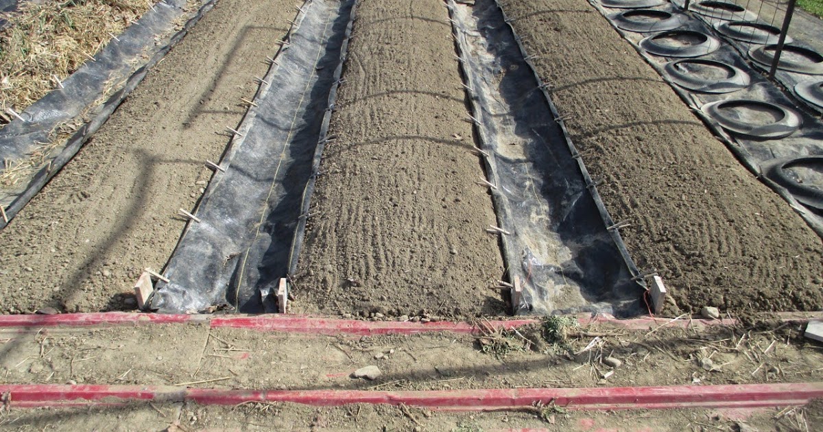 The Deliberate Agrarian: My SystemFor Planting Raised Beds