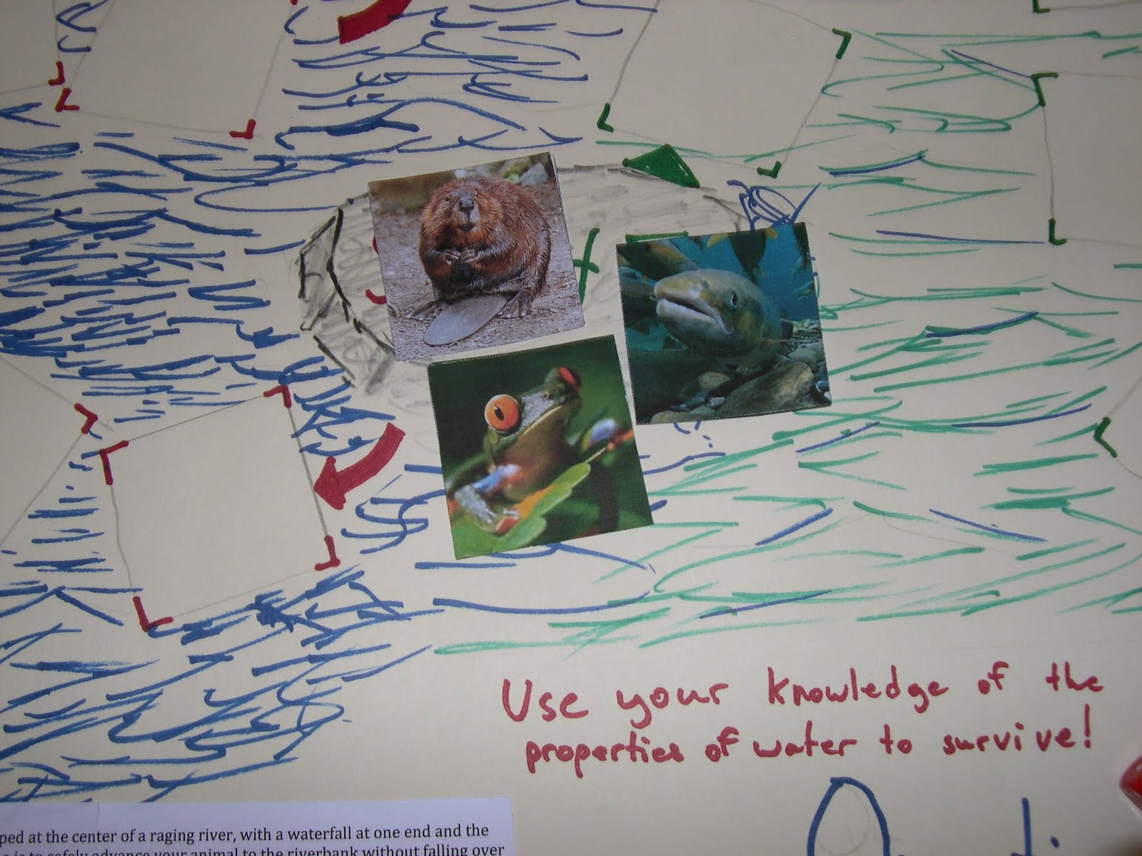 Bronxville AP Biology: Senior Projects After AP Exam