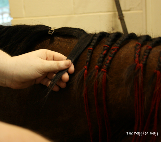 The Dappled Bay: Tutorial: Scalloped Button Braids