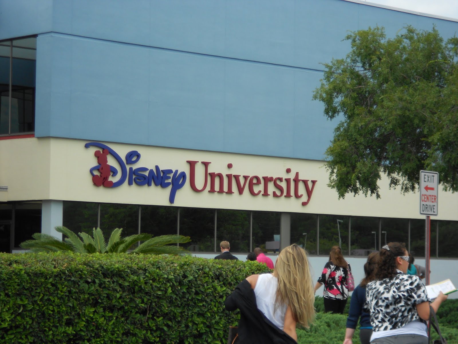 Across the Disney Dimension