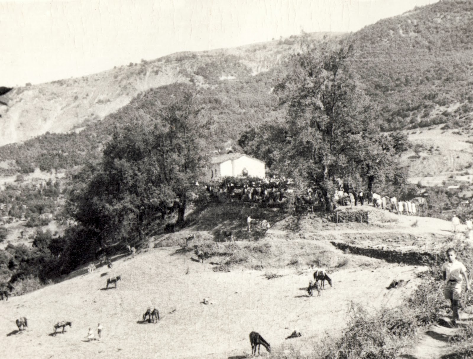 ΠΑΛΑΙΟΧΩΡΙΟΝ ΤΥΜΦΡΗΣΤΟΥ (ΟΜΙΛΑΙΩΝ) ΦΘΙΩΤΙΔΟΣ: Λεύκωμα - Φωτό Προσώπων