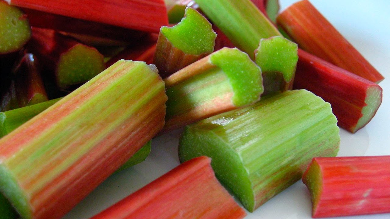 ABCDietas y Salud. Recetas, Información y Guía.: EL RUIBARBO, LA ÚNICA ...