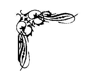 Wallpaper: Frame Pojok Undangan 2