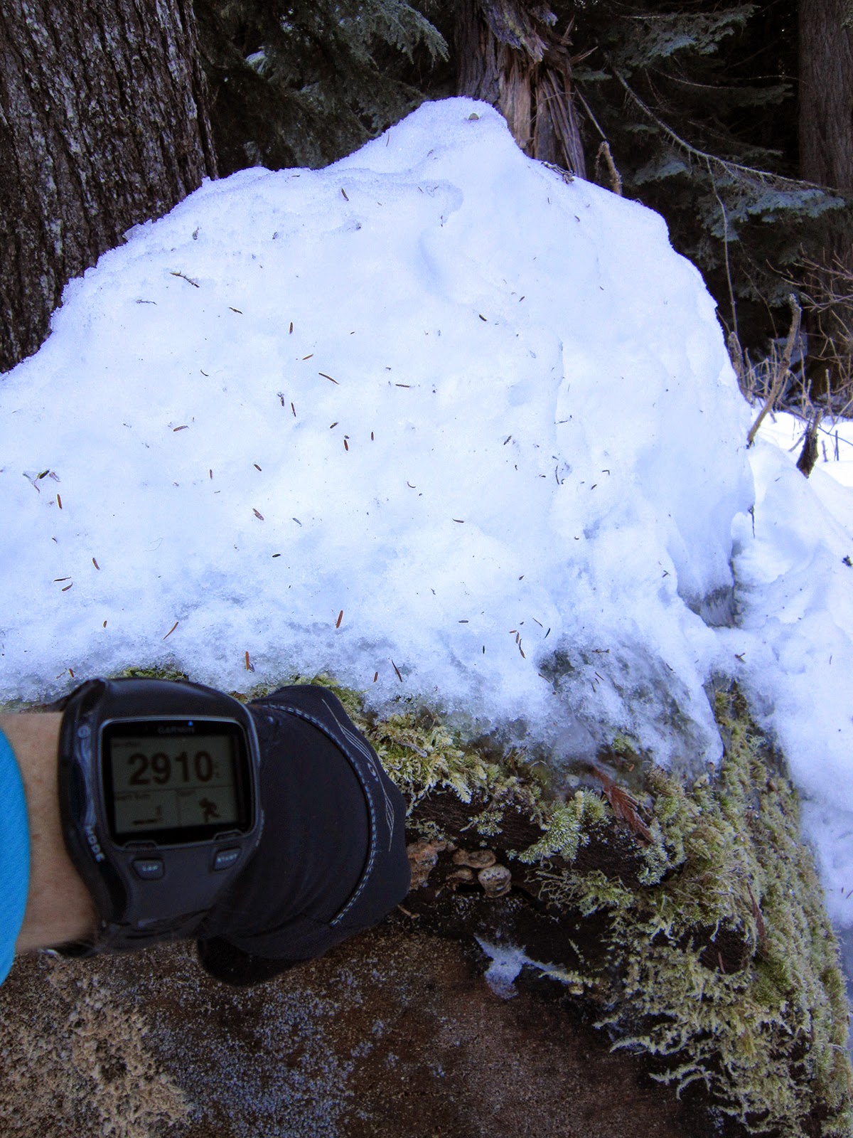 Seeking Ultra: Ruby Mountain loop, North Cascades