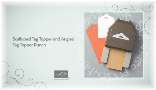 Stampin and Scrappin With Ri Ri: BRAND NEW TAG TOPPER PUNCHES FROM SU!
