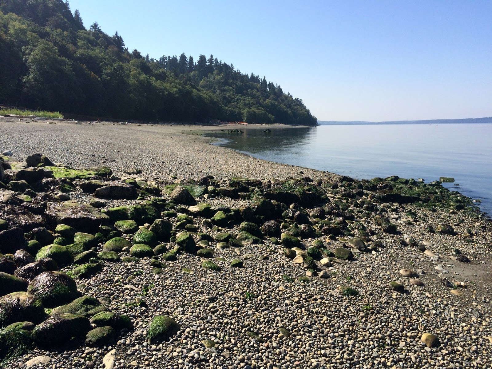 Gravel Beach: Seahurst Park