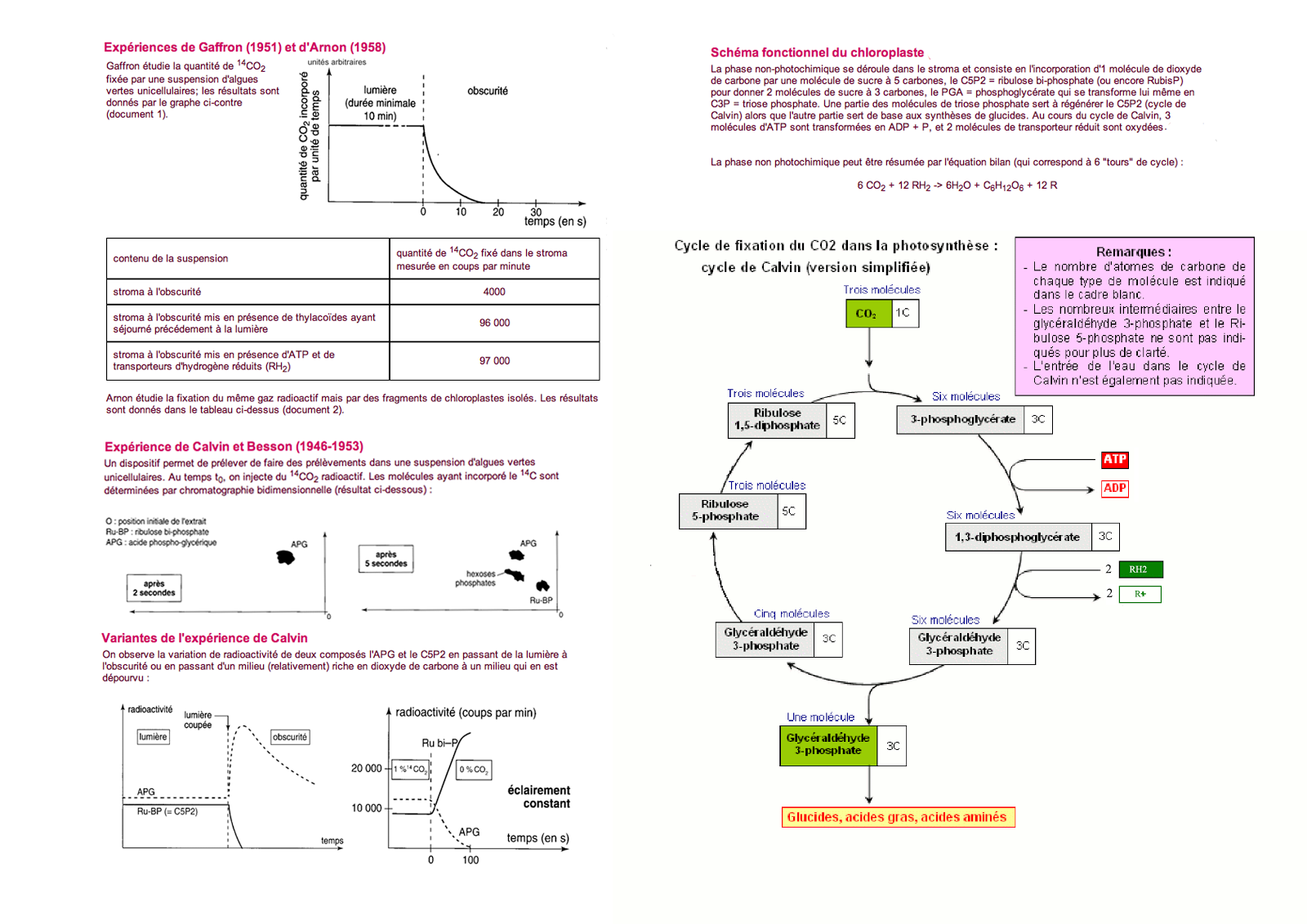 Quoi de neuf en SVT ? par Maître Corydon Muttaburrasaurus: La ...