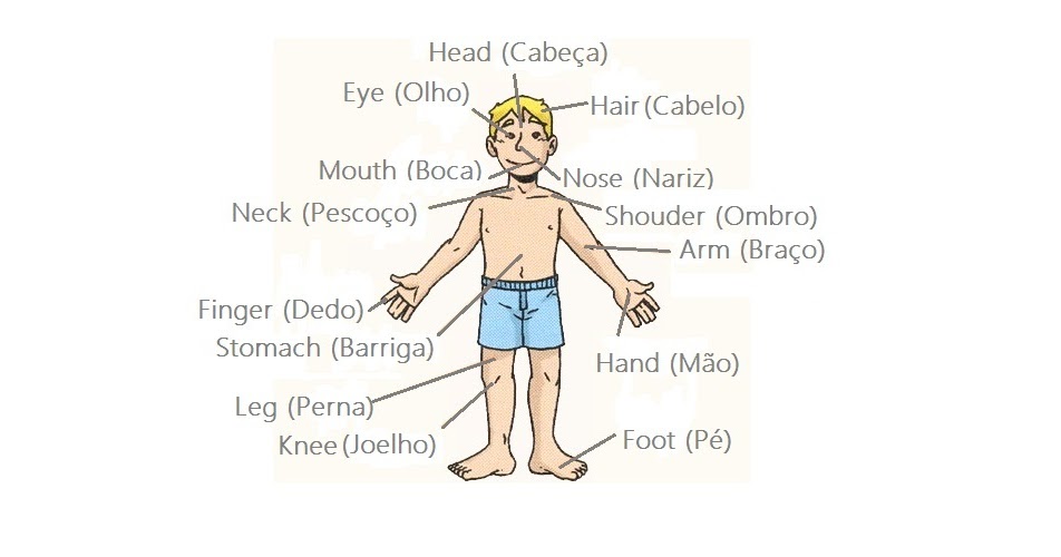 Virtual English for Kids: CORPO HUMANO