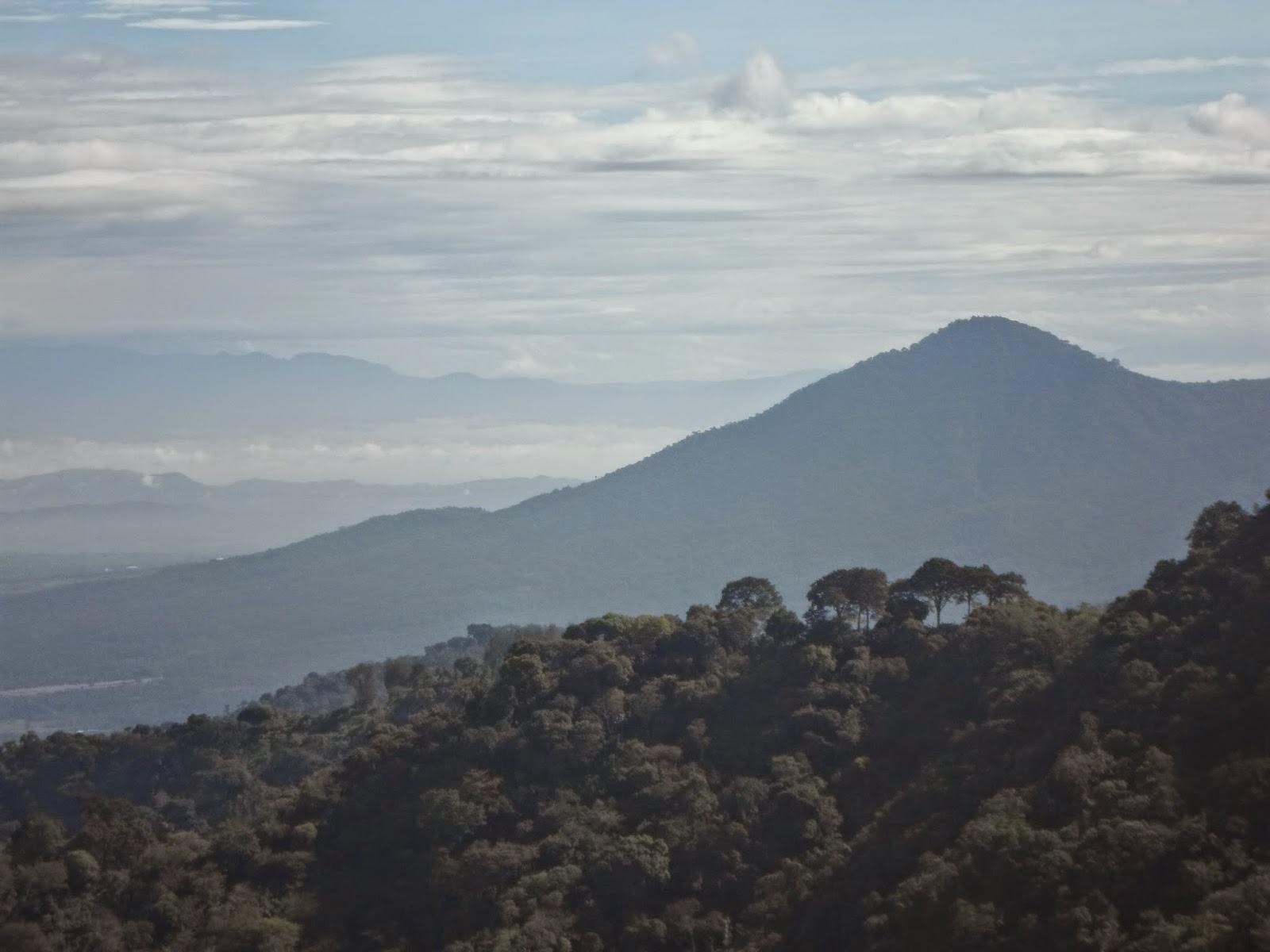 EL BÀLSAMO EN EL SALVADOR