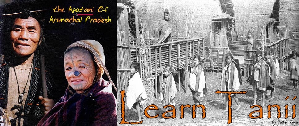 Learn Tanii: HUMAN BODY PARTS