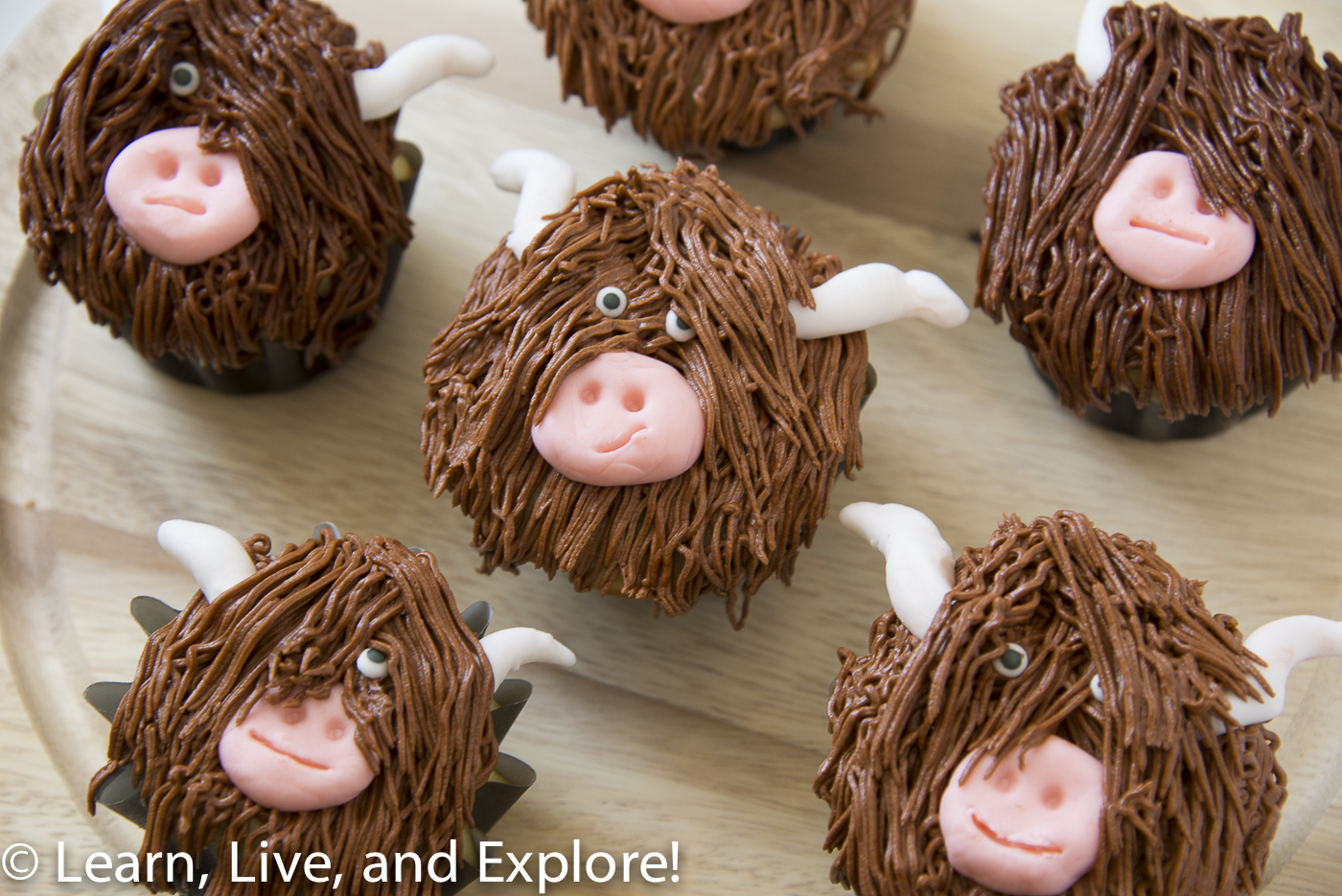 Scottish Hairy Coo Cupcakes and Scottish Whisky Tasting ~ Learn, Live ...