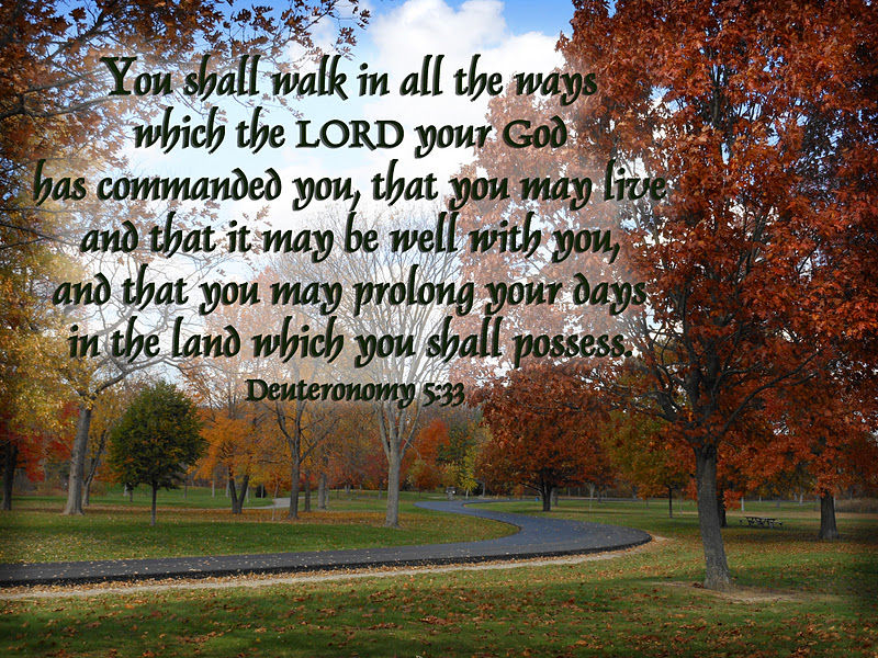 Lily-Fashion: He Knows My Path