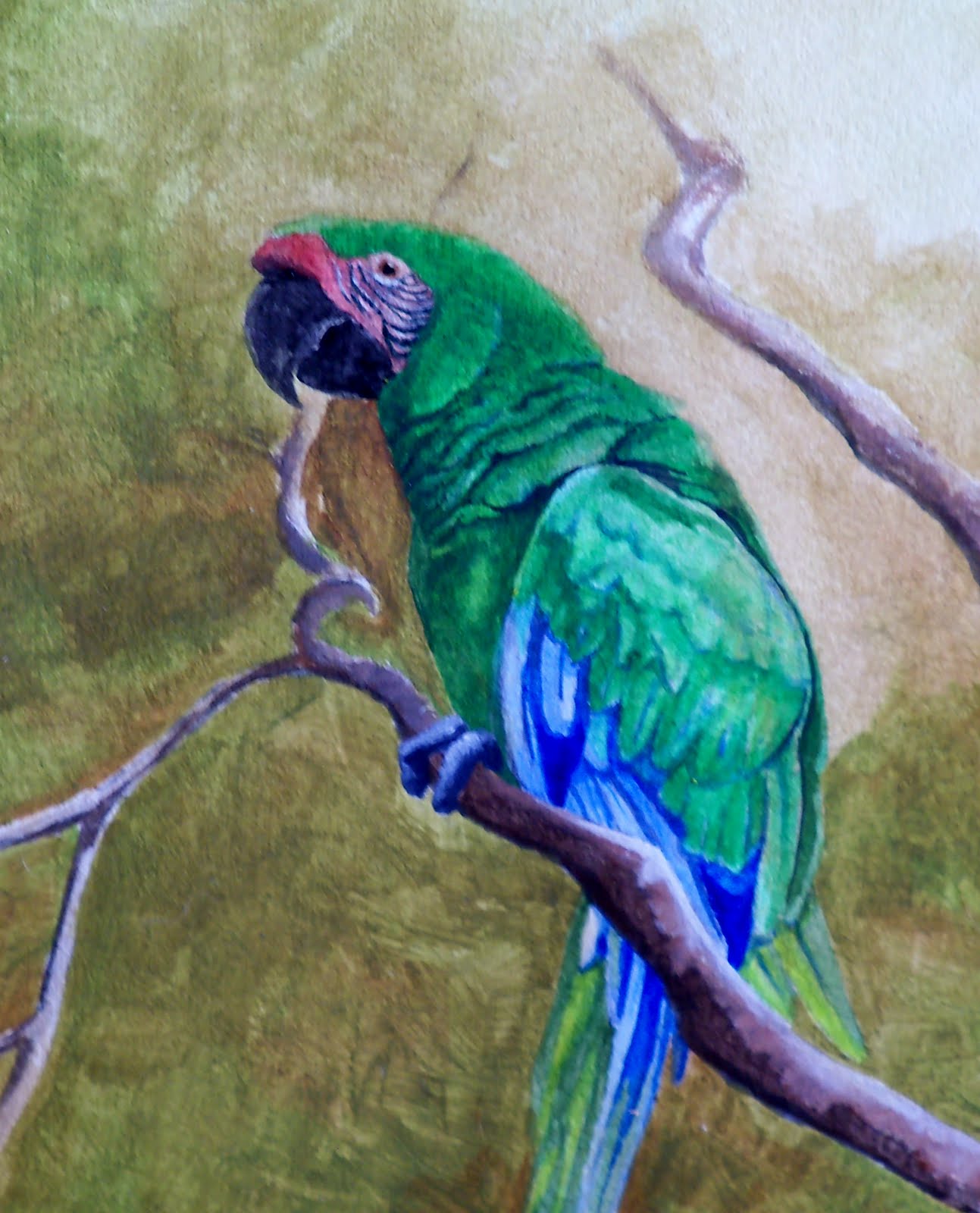 Jungle and Rainforest Art of Costa Rica: "Macaw's in Costa Rica"