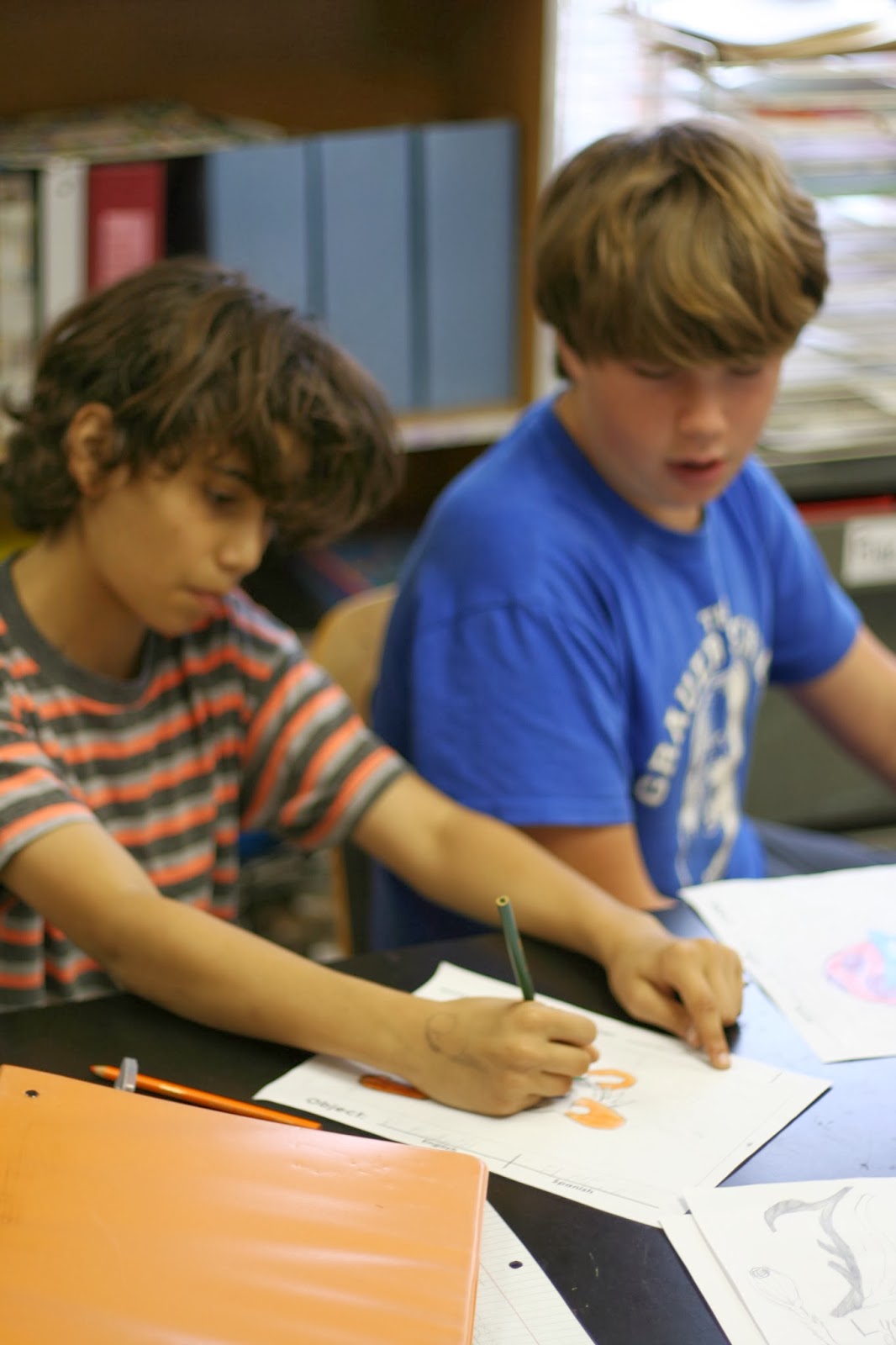 Grauer Art: Loteria Colored Pencil Drawing, 7th Grade Art