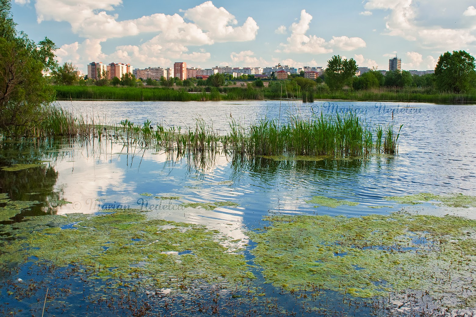 Armonie cu fotoni: Delta Vacaresti , delta Bucurestiului