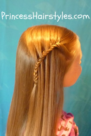 Hair styles with braids! | PIDP - 3240 Media Enhanced Learning
