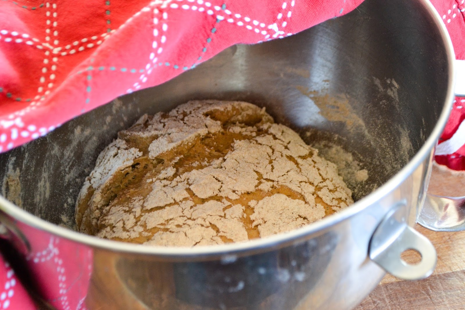Cast Iron Stew: Graham Bread