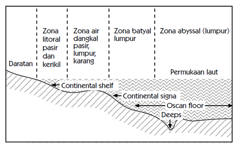 Pembagian Zona Laut Berdasar Letak ~ JURNAL BIOLOG