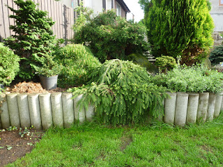Zahradnictví chládek: Rostliny plazivé