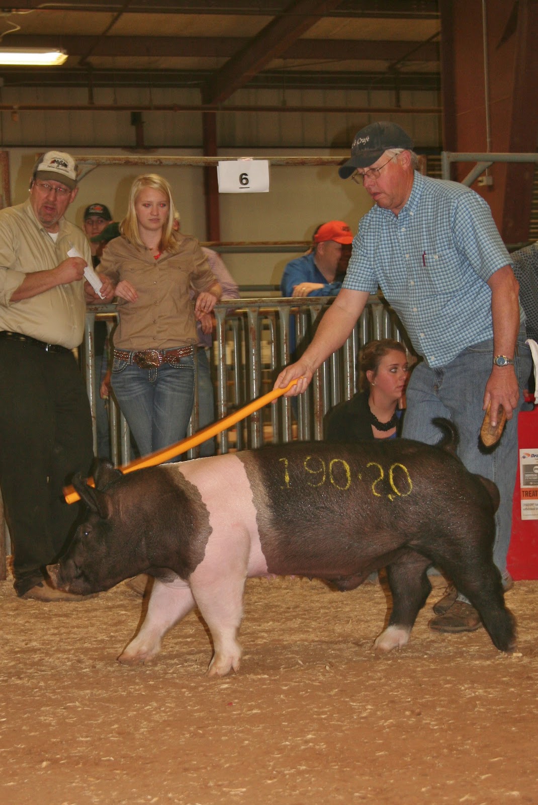 NSR Show & Sale Results: Southwest Type Conference Crossbred Boar Results