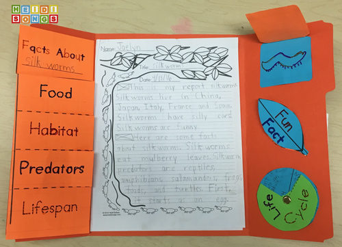 Teaching First Graders to Write an Insect Report!